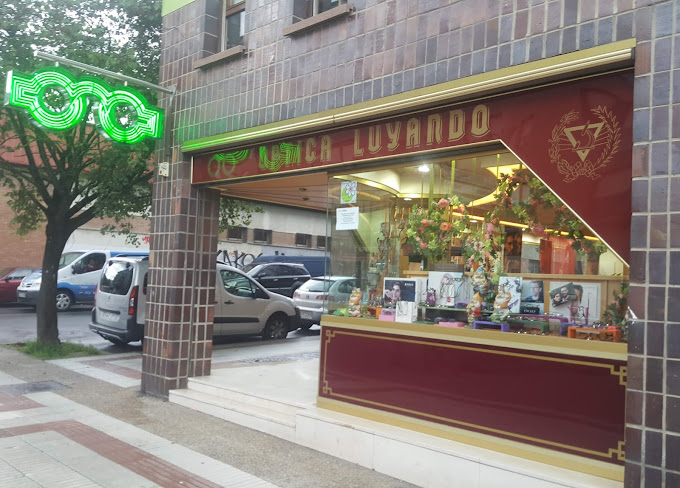 Óptica Luyando Laudio - Guía del Audífono